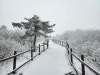 태백산 등산코스 지도♧백단사코스~반재~단종비각~천제단산행시간 1일2산태백산함백산 네이버 블로그